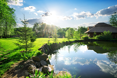 Proč je léto nejlepším obdobím pro řasy v jezírku a jak jejich výskyt ...